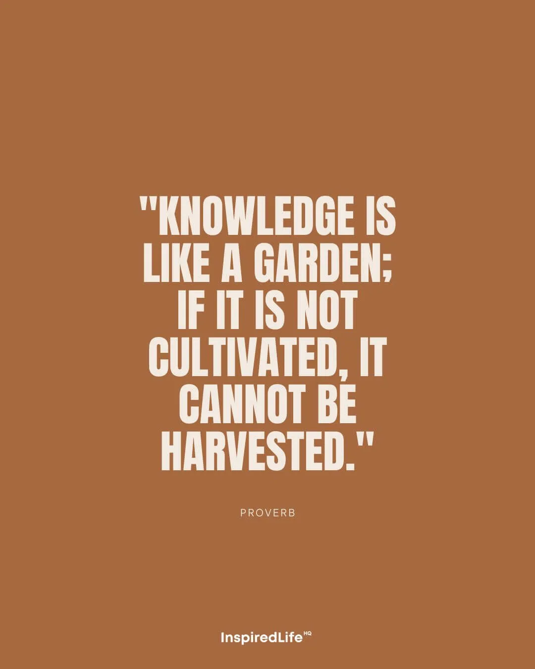 100+ Inspiring Knowledge Quotes To Fuel Your Daily Growth